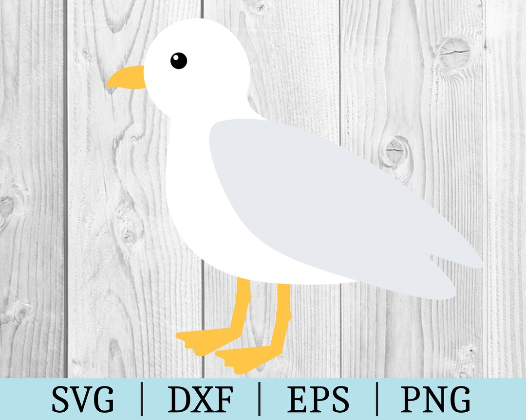 Seagull SVG | Vector Clipart | Cut File | Animal File | Svg Dxf Eps Png ...