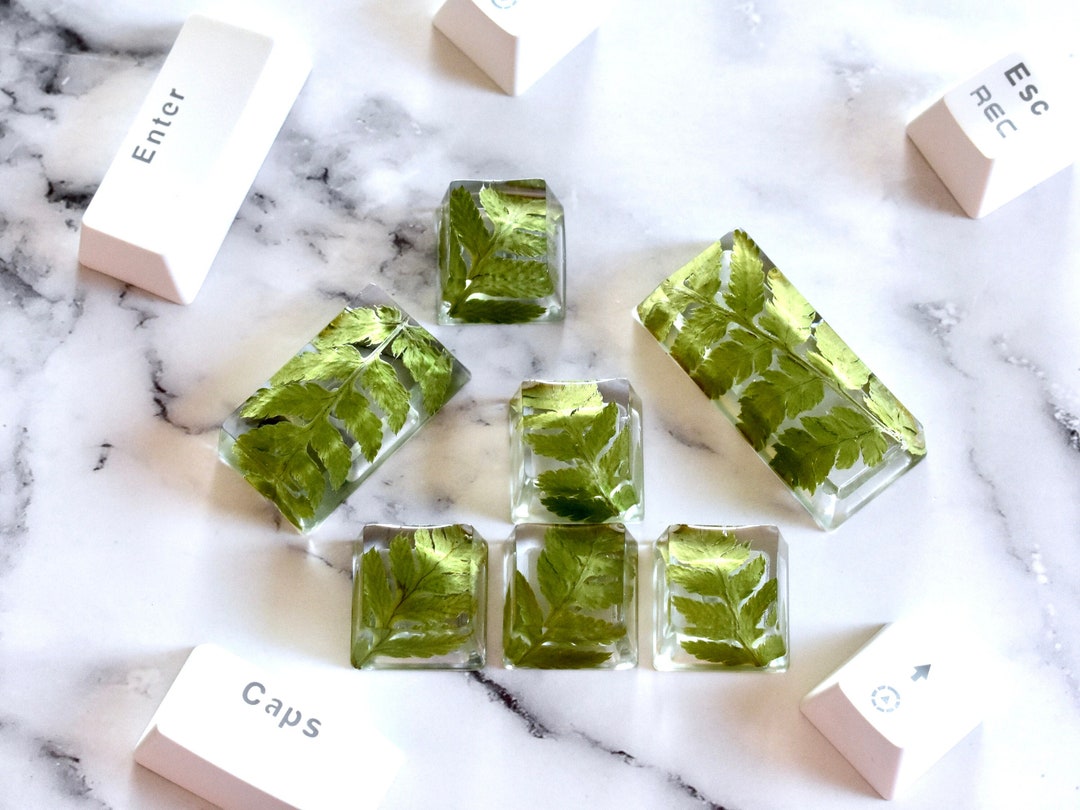 7PCS Plant Resin Keycaps Set With Natural Fern Leaves for Mechanical ...