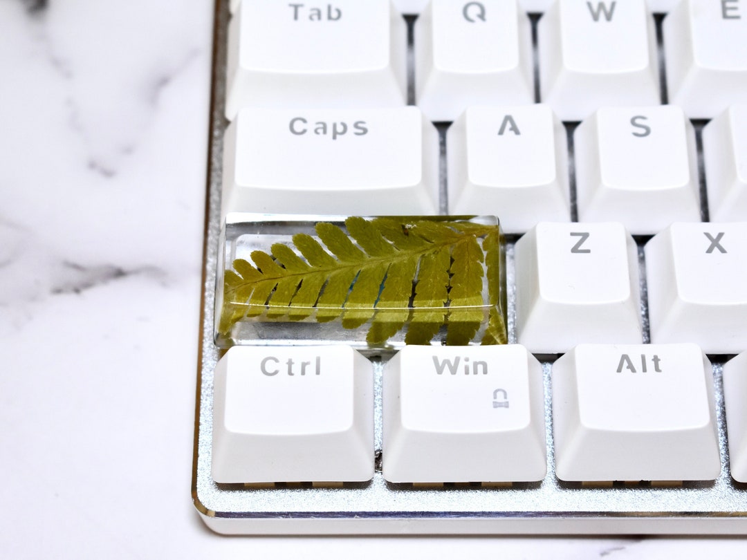 Enter/left Shift Keycap With Green Fern Leaf for Mechanical - Etsy ...