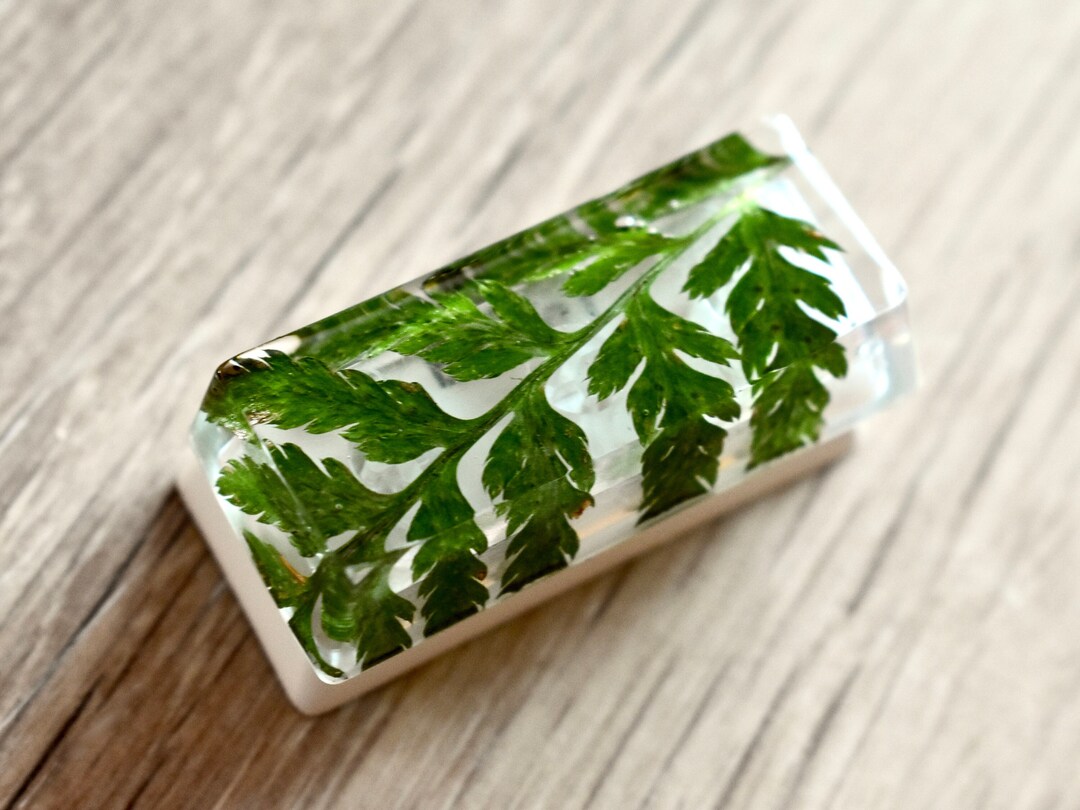 Enter/left Shift Keycap With Natural Fern for Mechanical Keyboard Plant ...