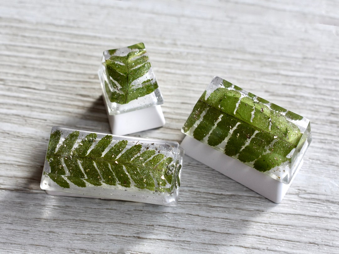 3PCS Keycaps Set for Mechanical Keyboard | Plant Resin Keycaps With ...