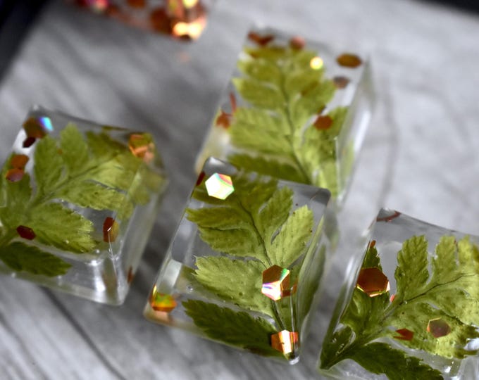 5PCS Epoxy Resin Keycaps Set for Mechanical Keyboard With Real Fern and ...