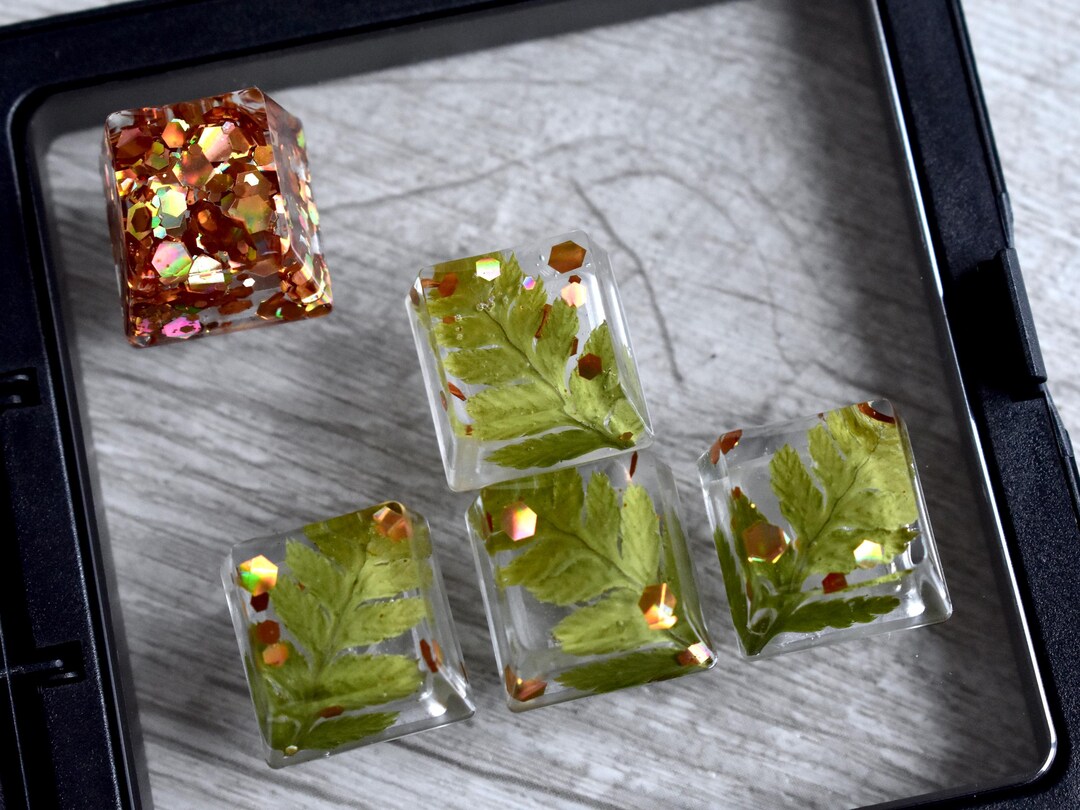 5PCS Epoxy Resin Keycaps Set for Mechanical Keyboard With Real Fern and ...