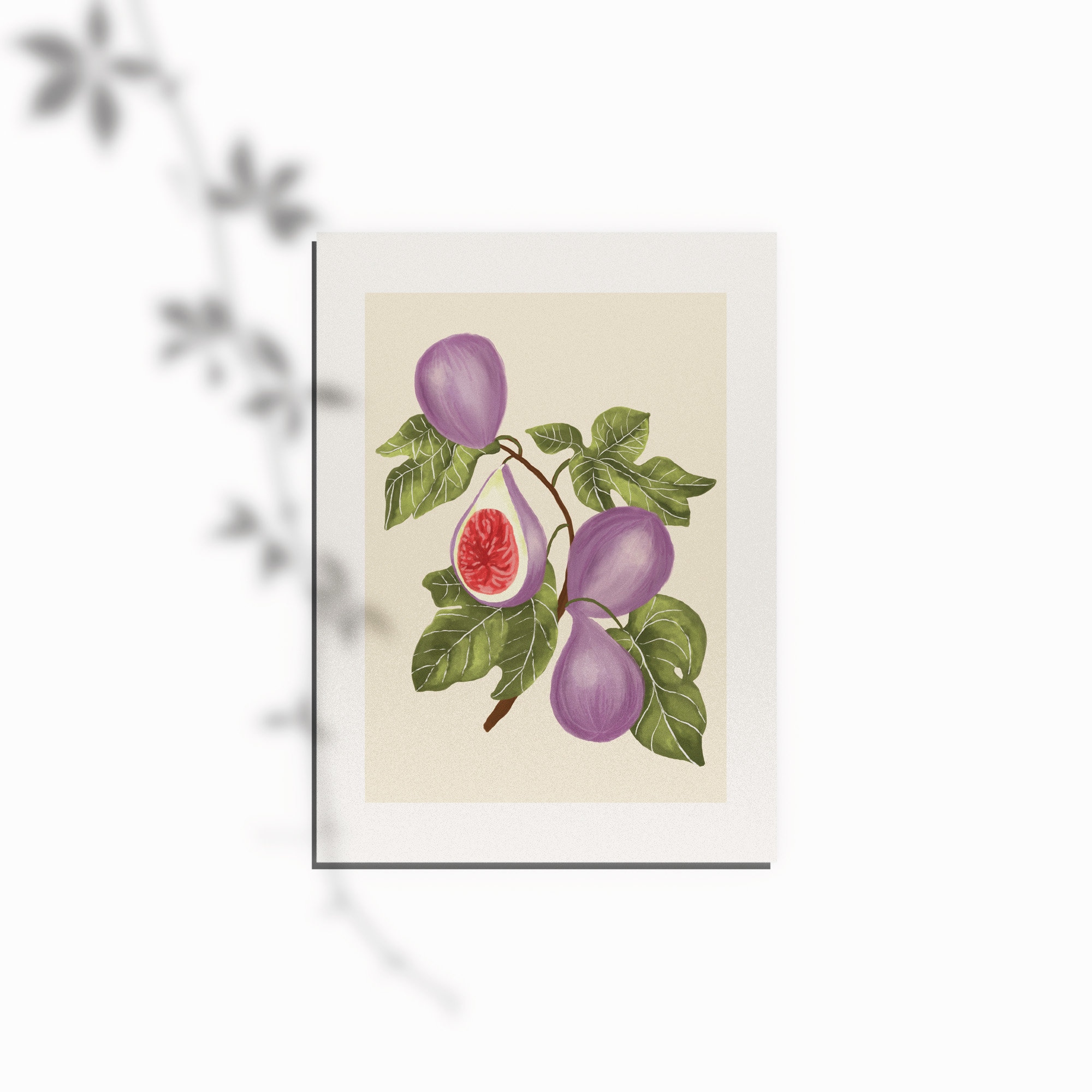 Fig Art Print. Botanical Prints. Fig Plant Print. Botanical - Etsy