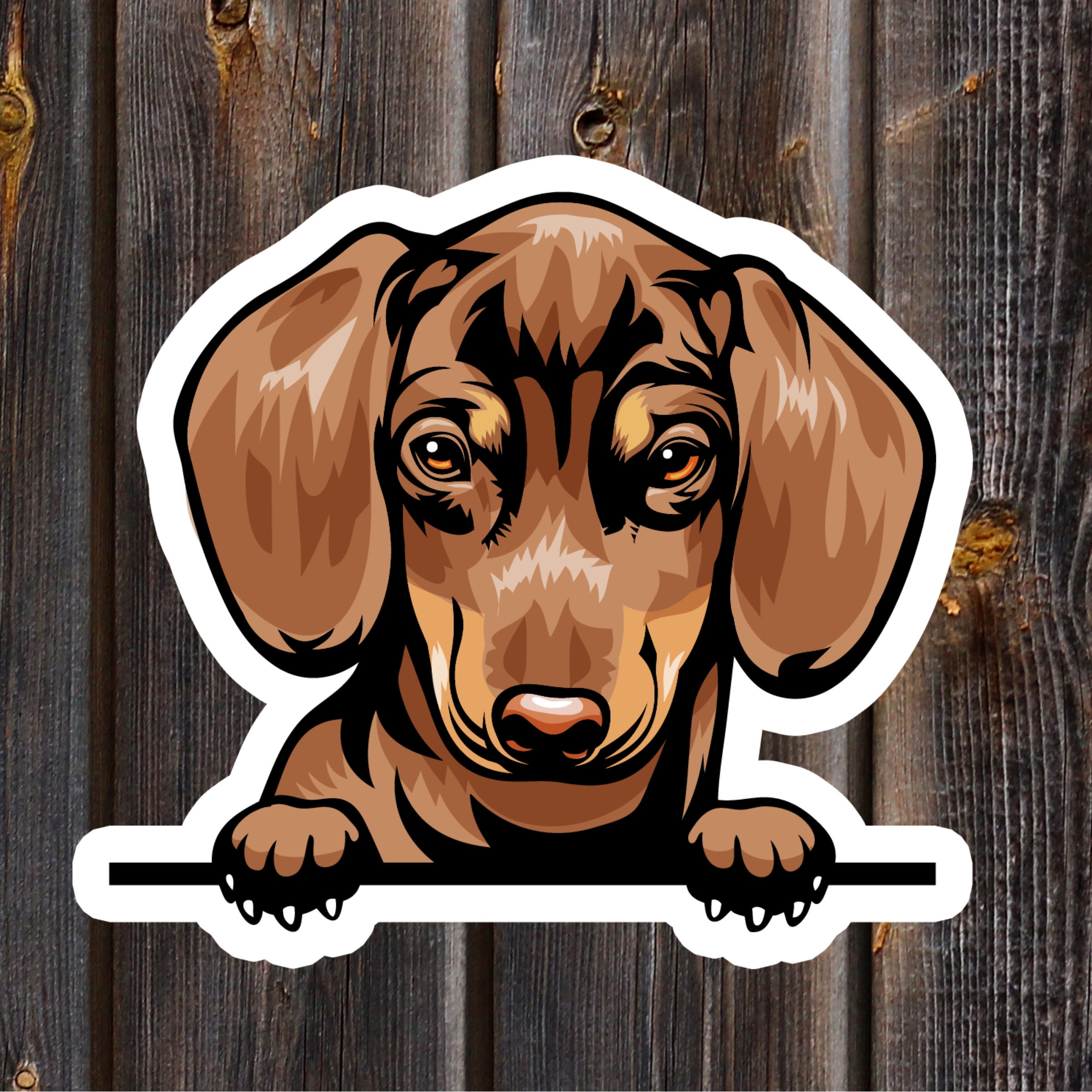 DACHSHUND Dog Sticker Dogs Stickers Fun Sticker Vinyl | Etsy