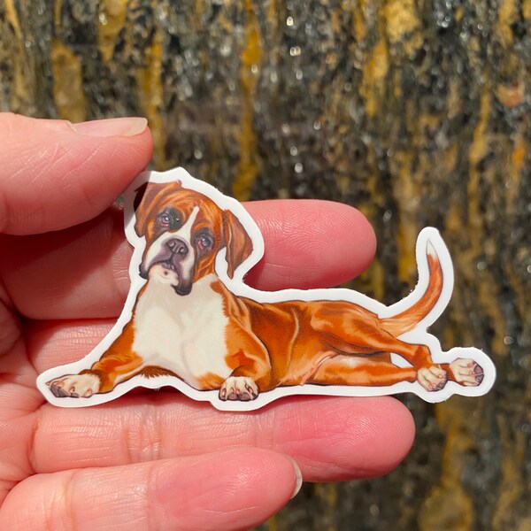 Boxer Sticker - Etsy