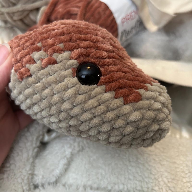Weird Stuff - Etsy