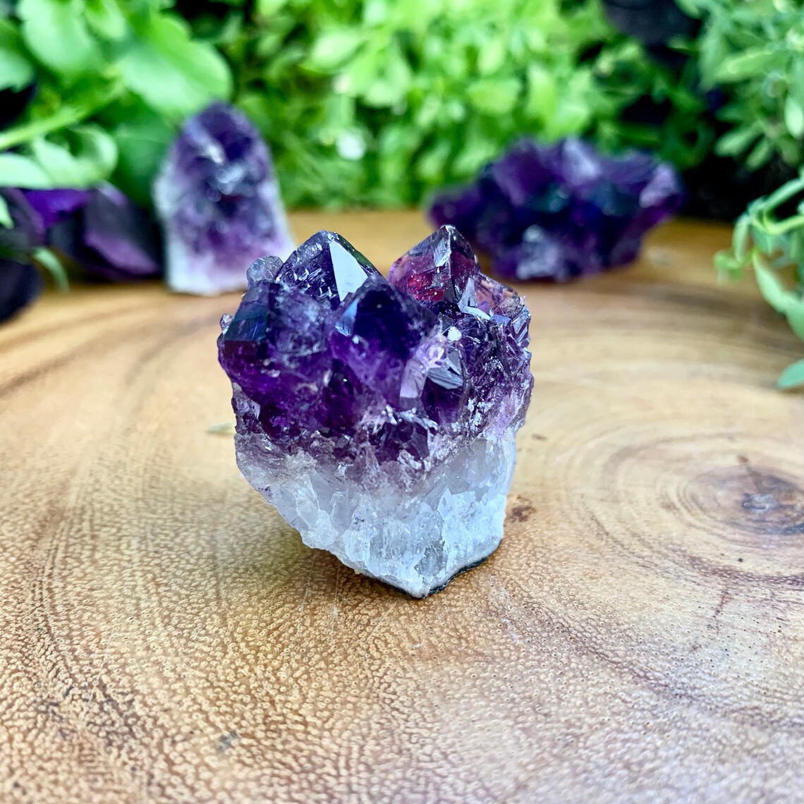 Amethyst Mini Geode Crystal Clusters - Etsy