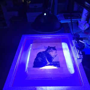 Modern Art Cat Screen Print - Etsy