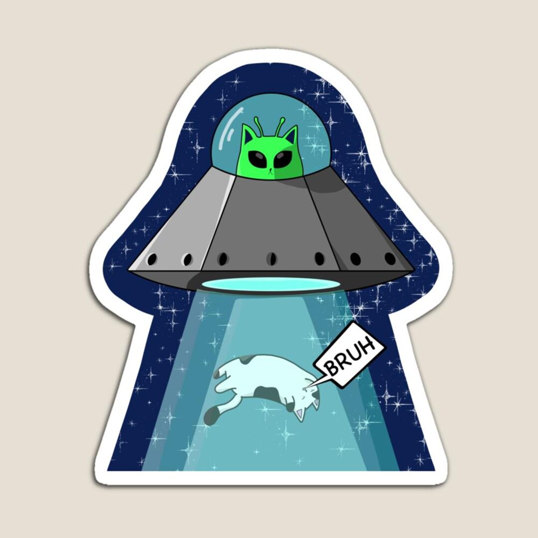 Bruh Cat Alien Abduction Kiss-cut Sticker, Cat Lover Gift, Funny Cat ...