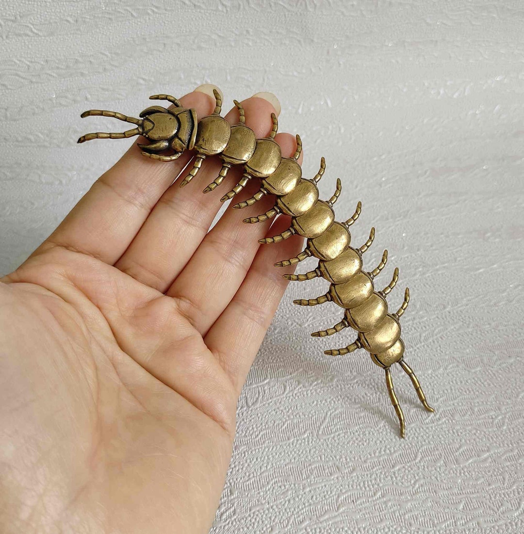 Brass Carved Centipede Statue, Home Decoration, Creative and Cute ...