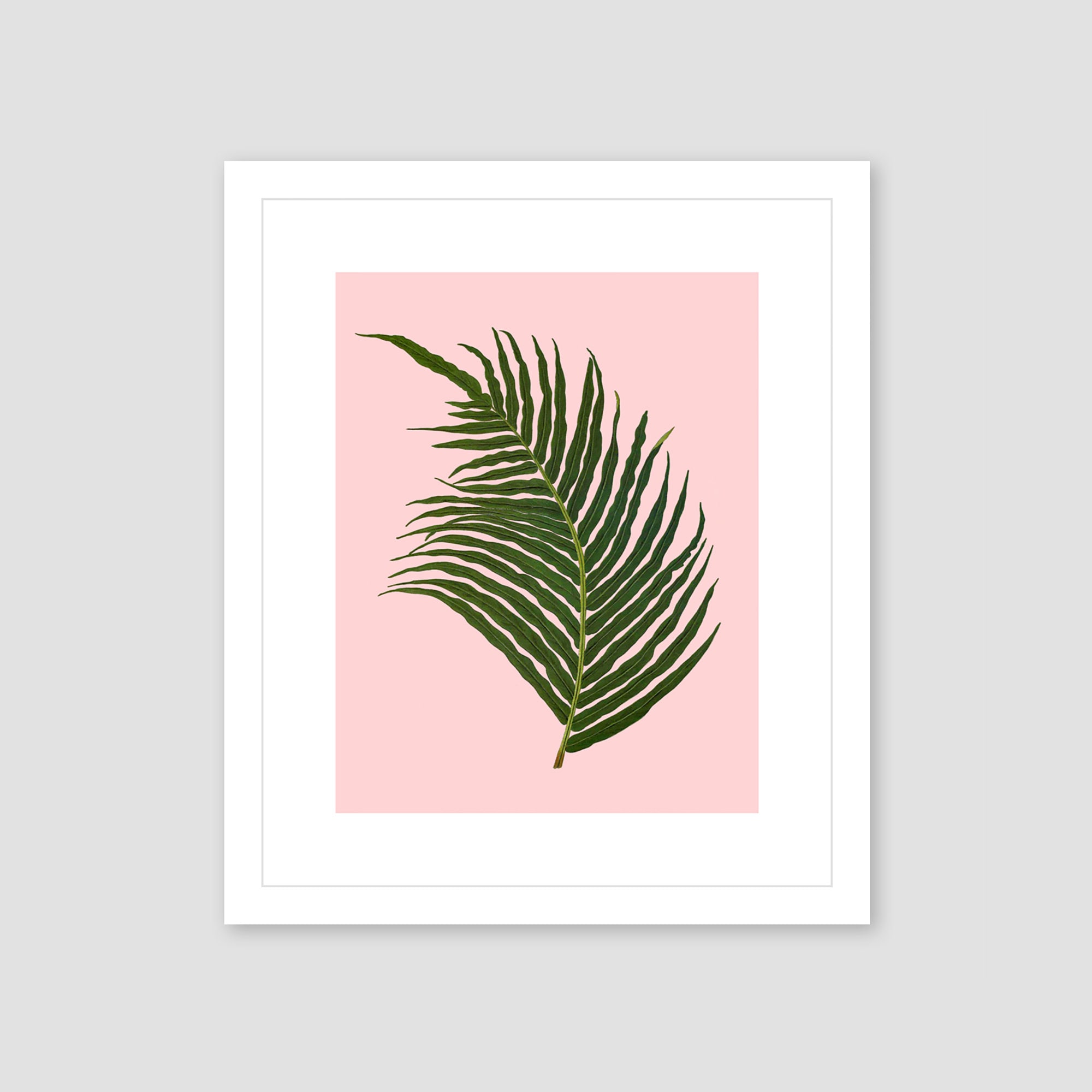 Palm tree leaf framed art tropical art wall art palm tree | Etsy