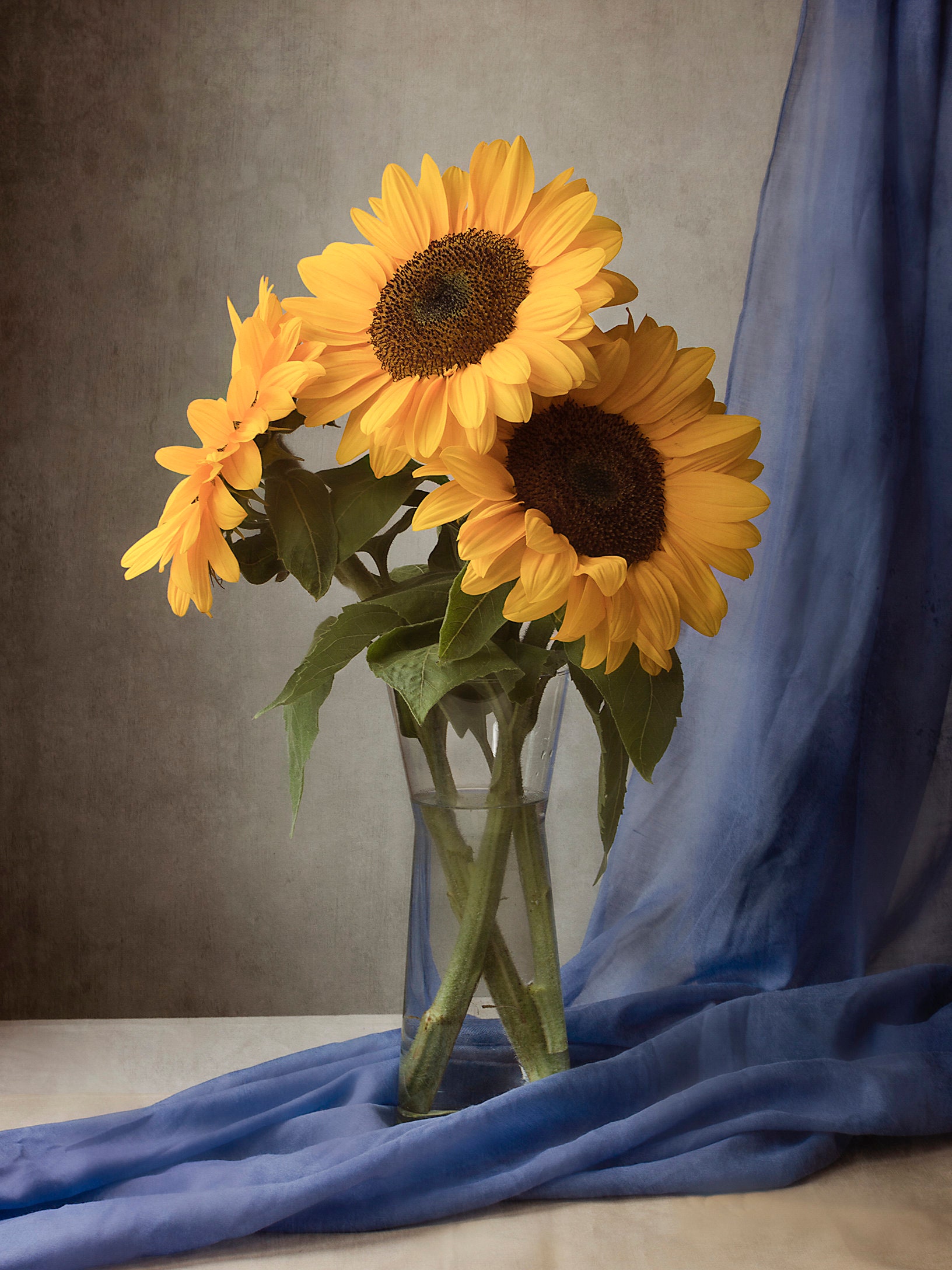 Still Life Photography Sunflowers