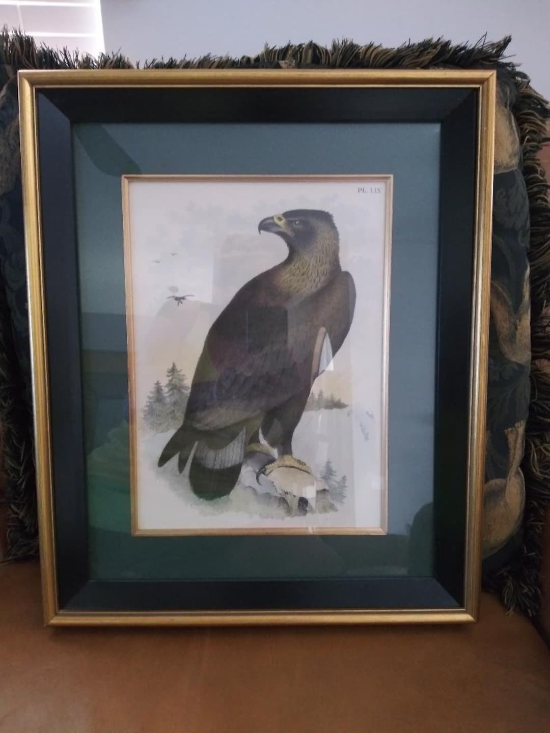 Painting-handcolored Etching Lithograph of Eagle - Etsy