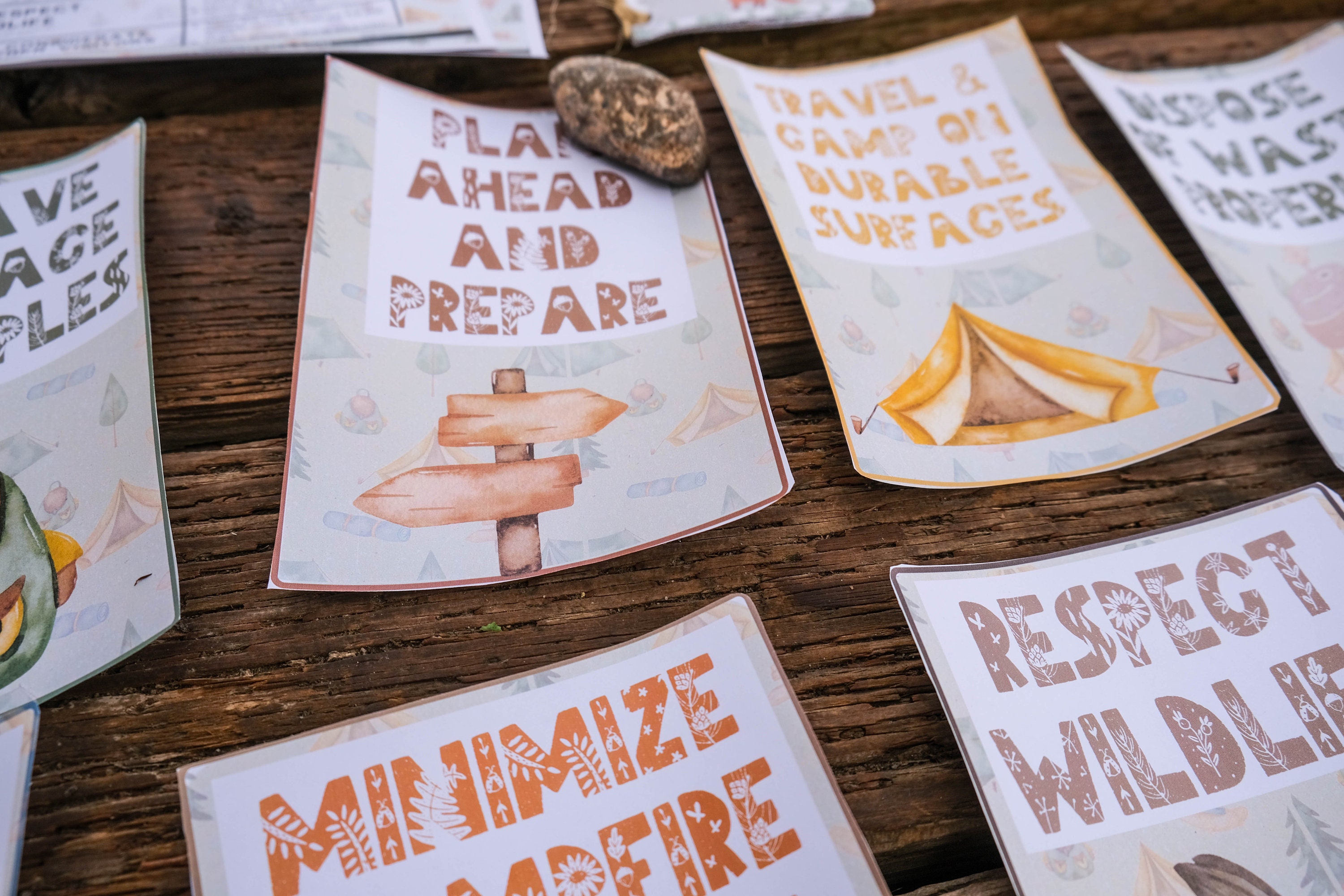 Leave No Trace Printable Activity for Kids (forest School, Earth Day ...