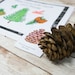 Pinecone Lifecyle Unit Study / Activity Pack for Kids [printable PDF ...