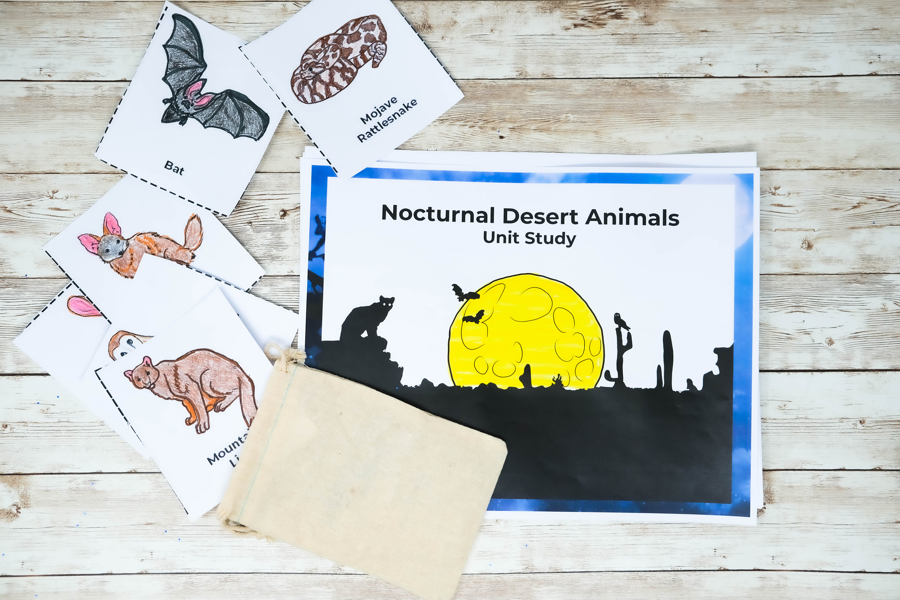 Nocturnal Desert Animal Unit Study / Activity Pack for Kids [printable ...