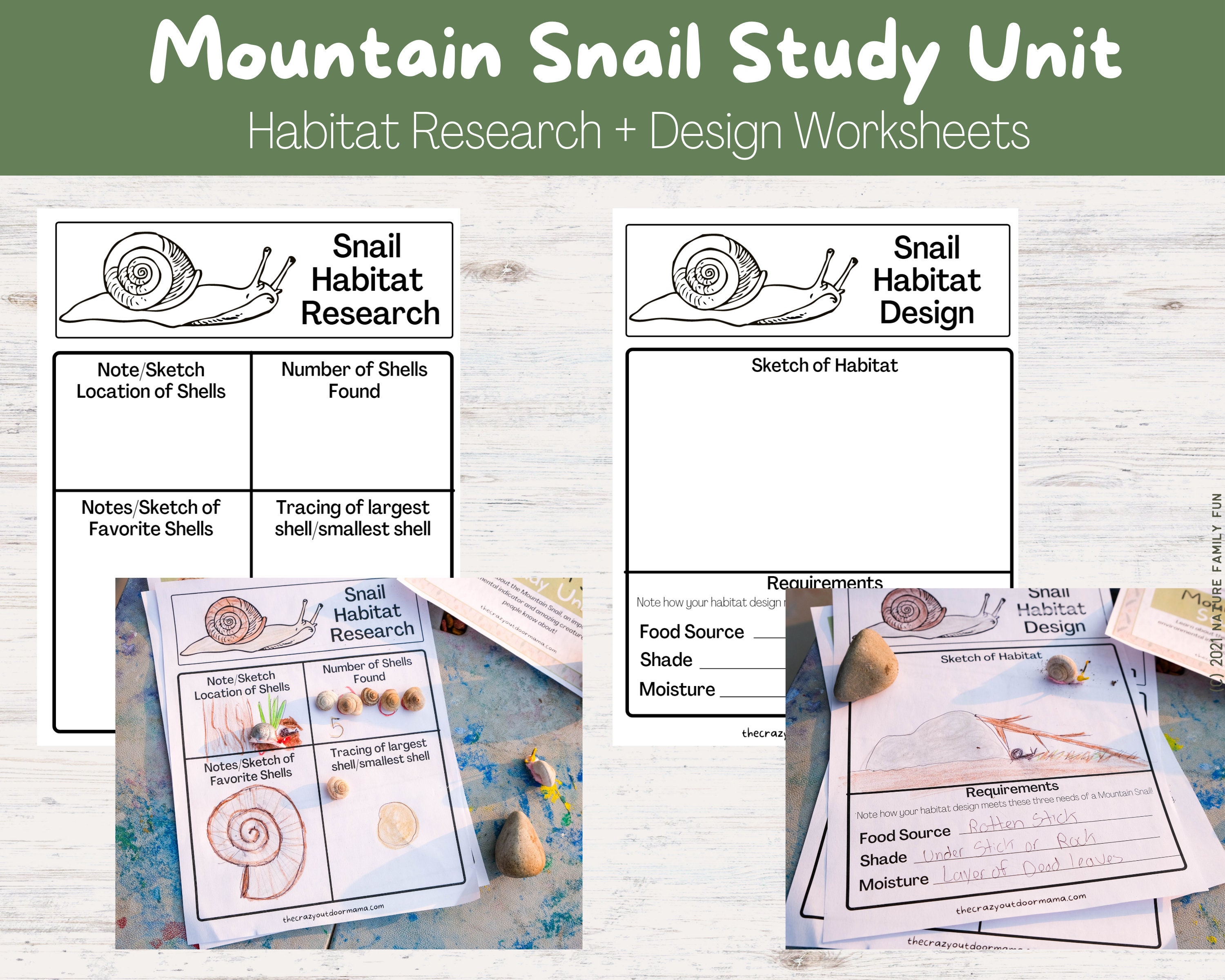 Mountain Snail Snail Shell Craft for Forest School, Summer School or ...