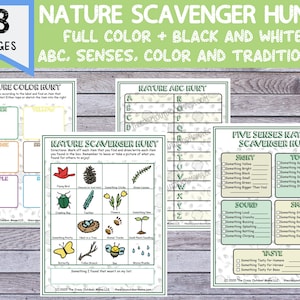 Nature Scavenger Hunts (ABC, Senses, Color and Traditional) [printable ...