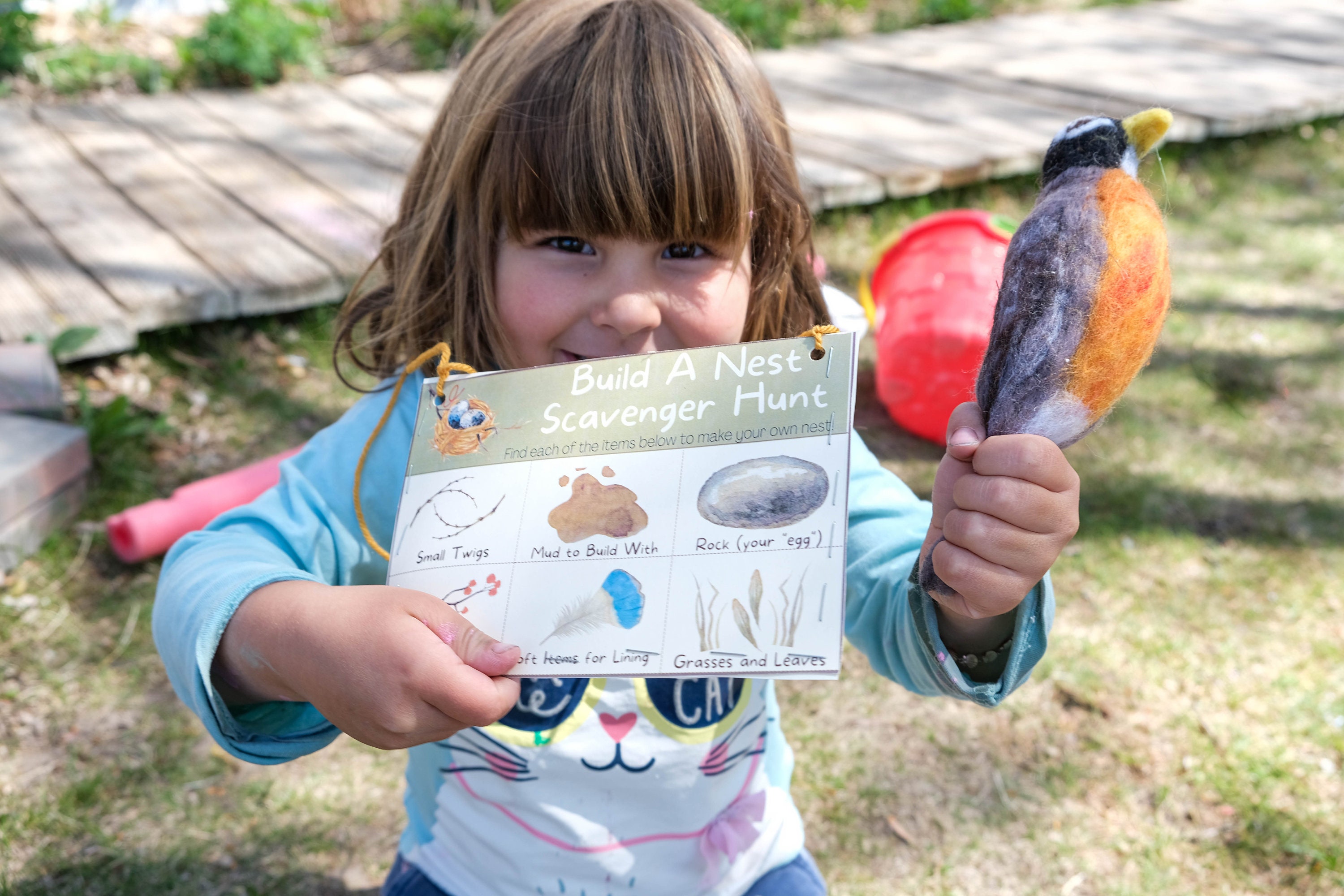 American Robin Study Unit Craft for Forest School, Summer School or ...