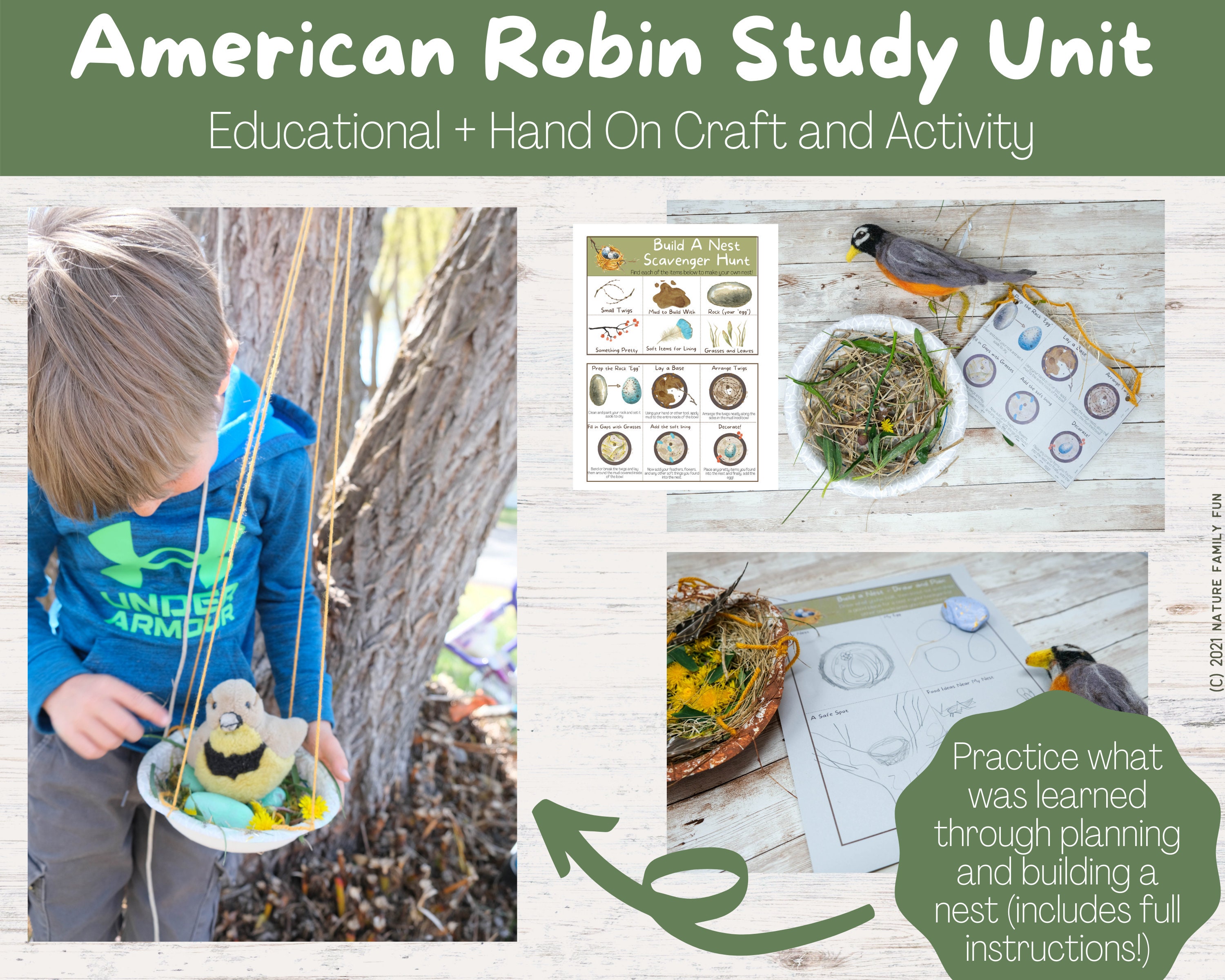 American Robin Study Unit Craft for Forest School, Summer School or ...