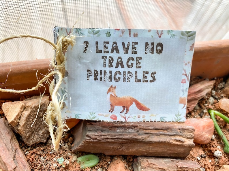 Leave No Trace Printable Activity for Kids (forest School, Earth Day ...