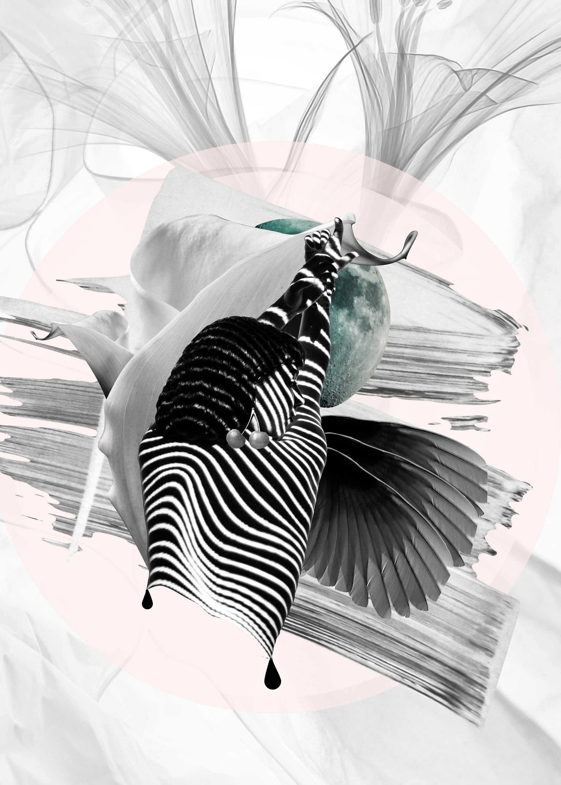 Sweet Nap - Digital Collage, Graphic, Photo Collage, Graphic Design (A3 ...