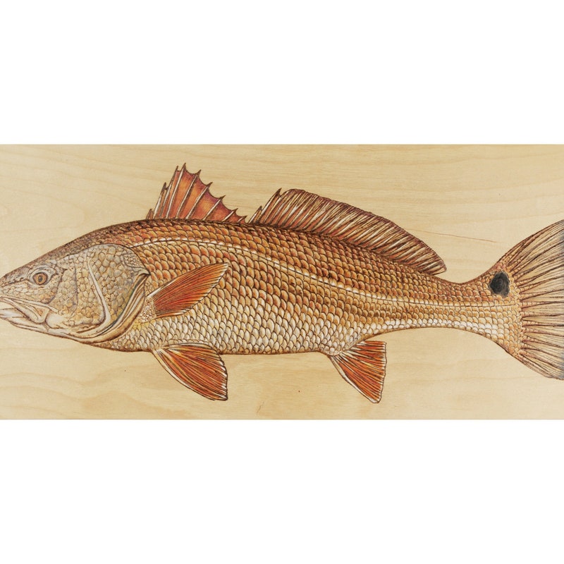 Redfish Wood Art - Etsy