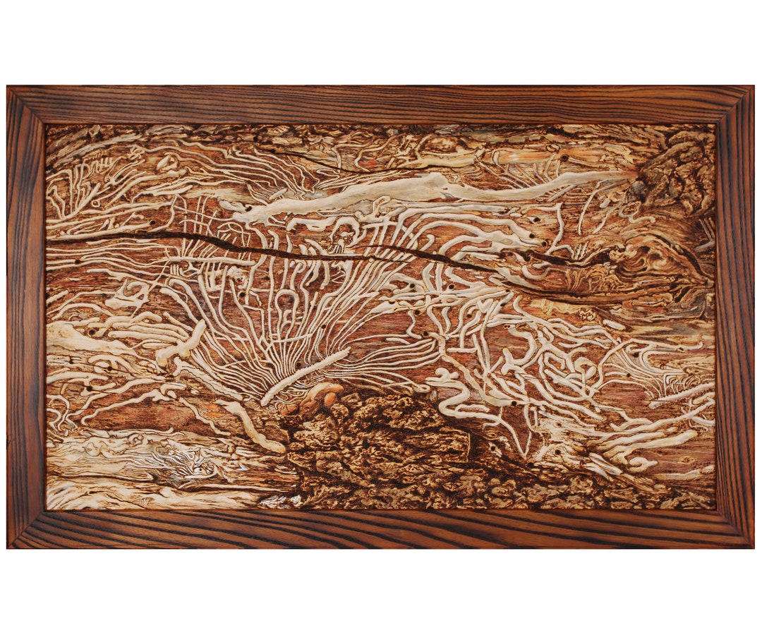 Bark Beetle Roads, ORIGINAL Wood Burning, Realistic Pyrography - Etsy