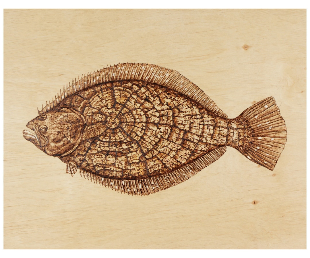 Flounder on Alder Plywood (original Pyrography), Fish Art, Flounder ...