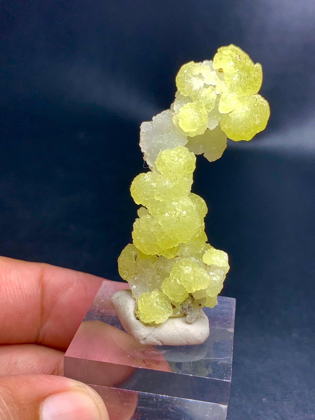 Brucite, Brucite Crystal , Brucite Tree , - Etsy