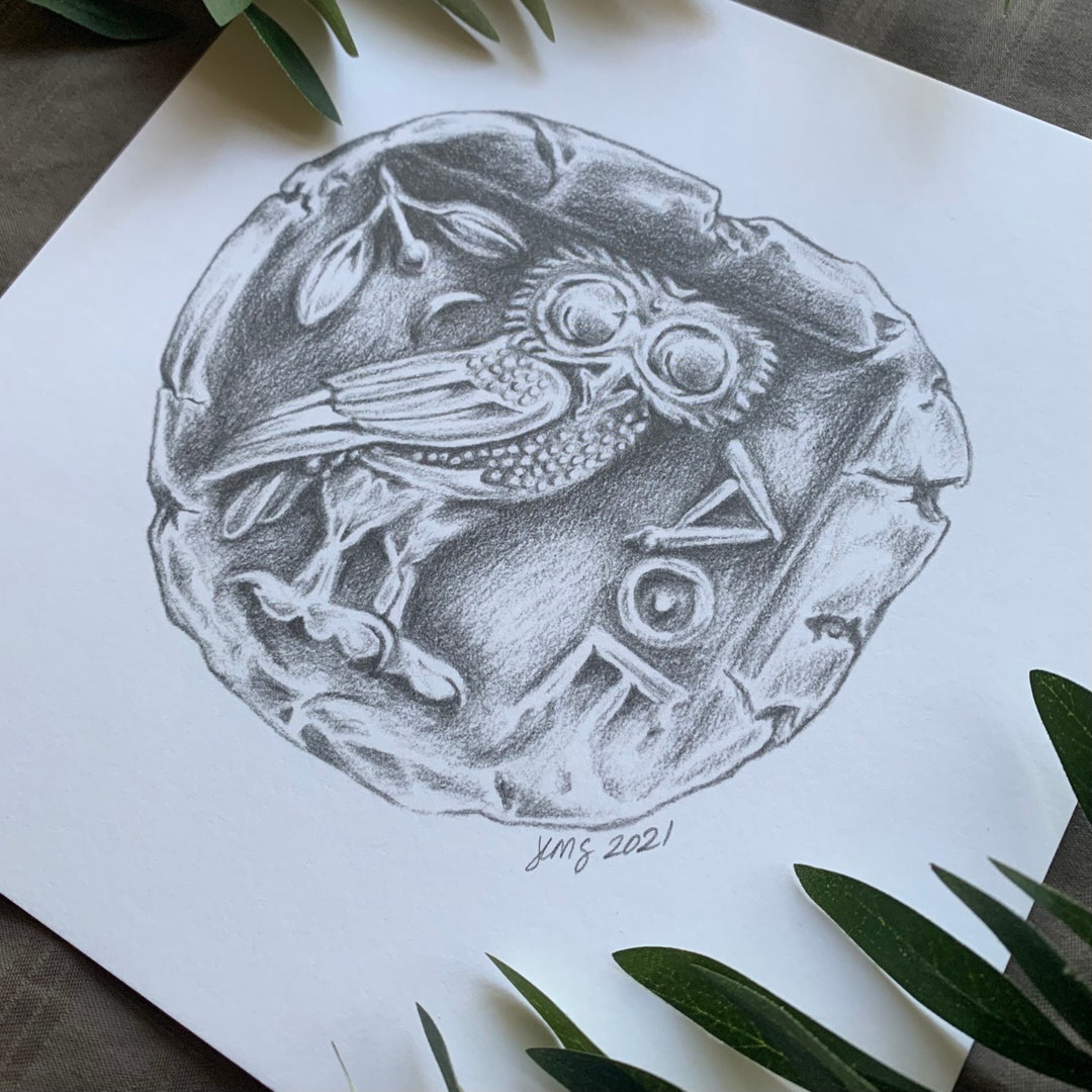 Athena Owl Art Print - Ancient Greek Coin Giclee Art Print - Etsy