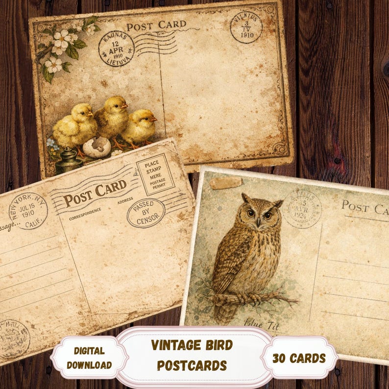 Printable Vintage Bird Postcard Set – Antique Nature Cards, Easter ...