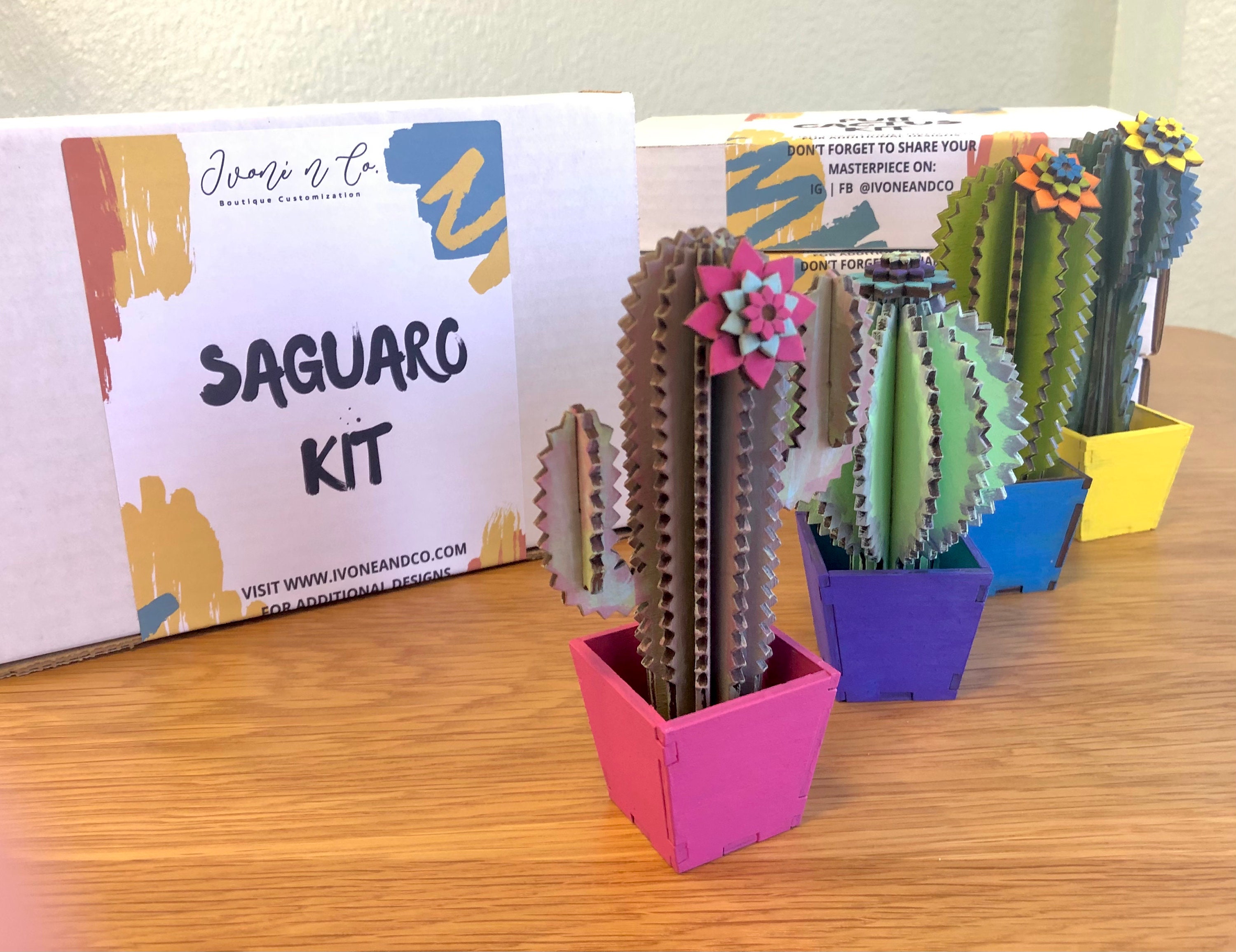 Cacti DIY kits | Etsy