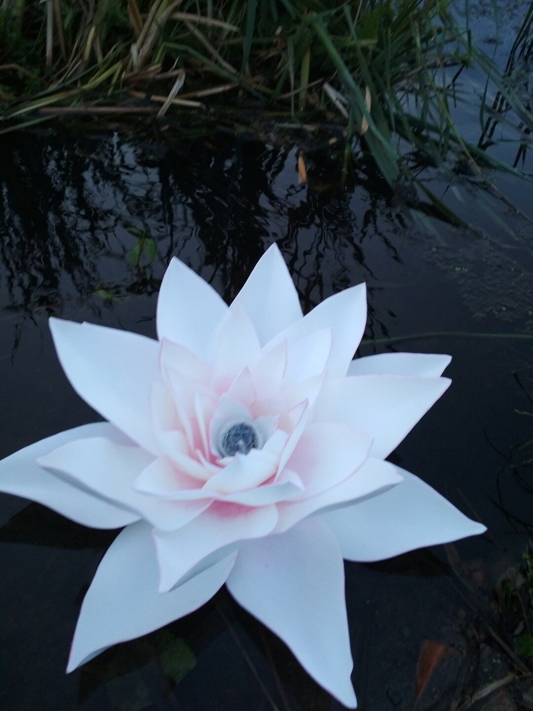 Lotus Flower From Isolon - Etsy