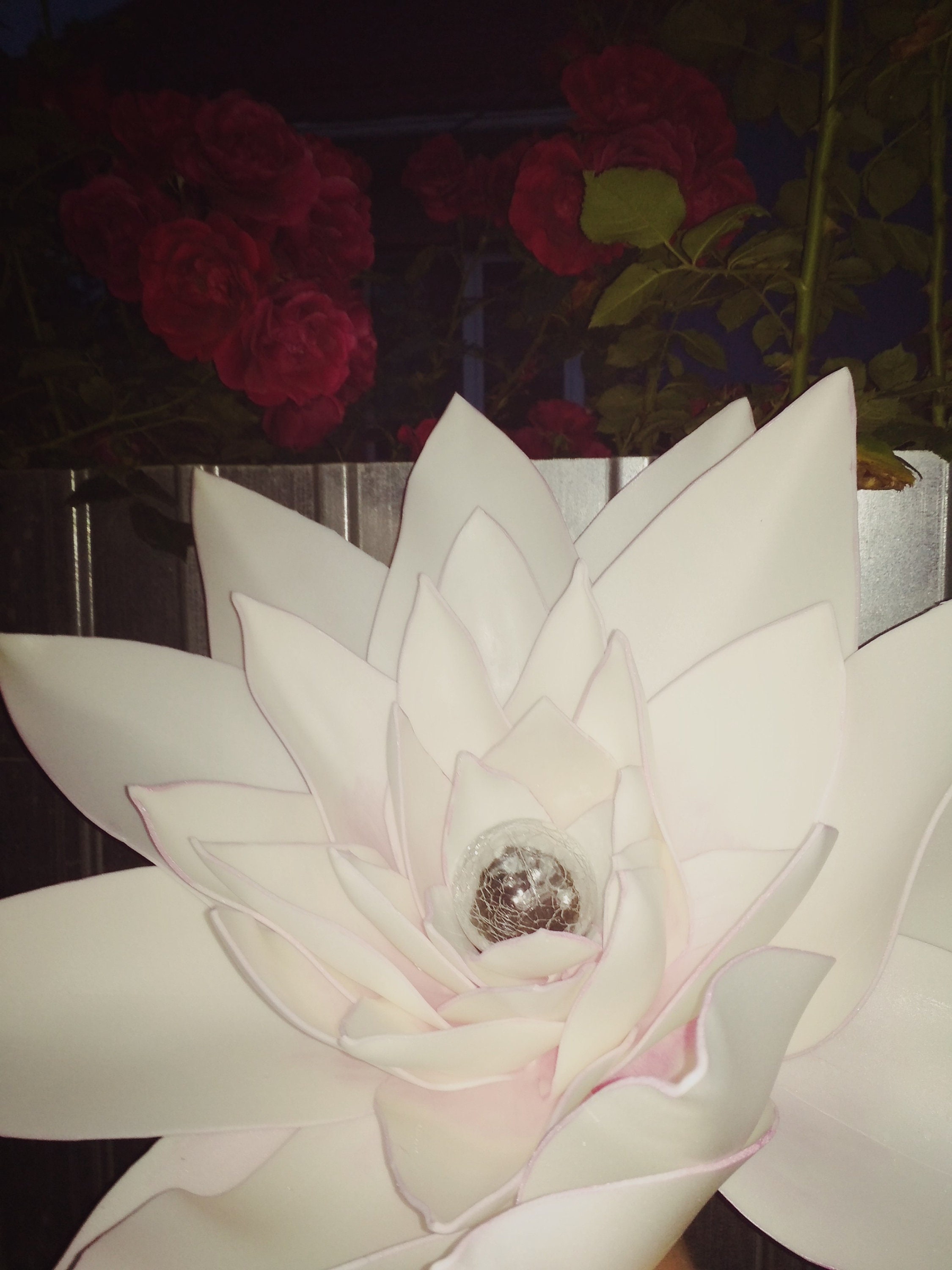 Lotus Flower From Isolon - Etsy