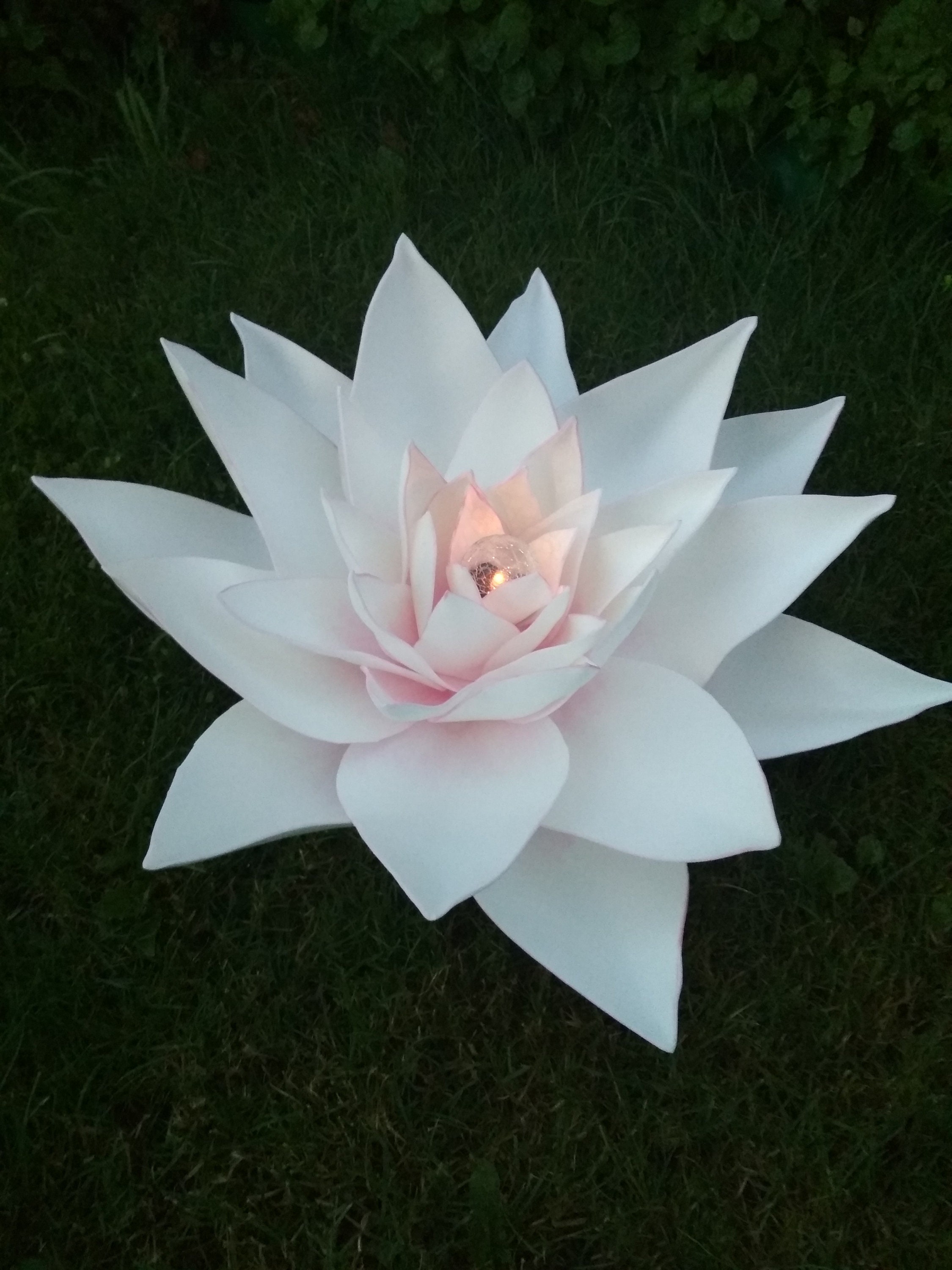 Lotus Flower From Isolon - Etsy