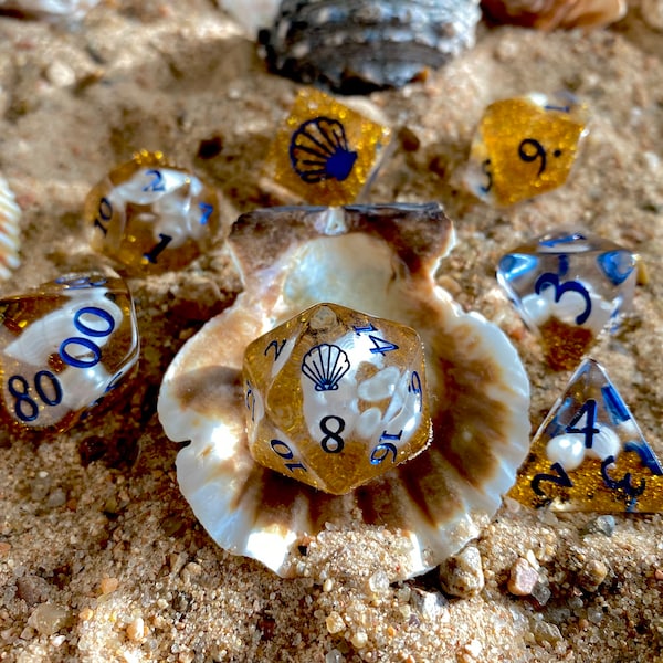 Ocean Sea Shell - Etsy