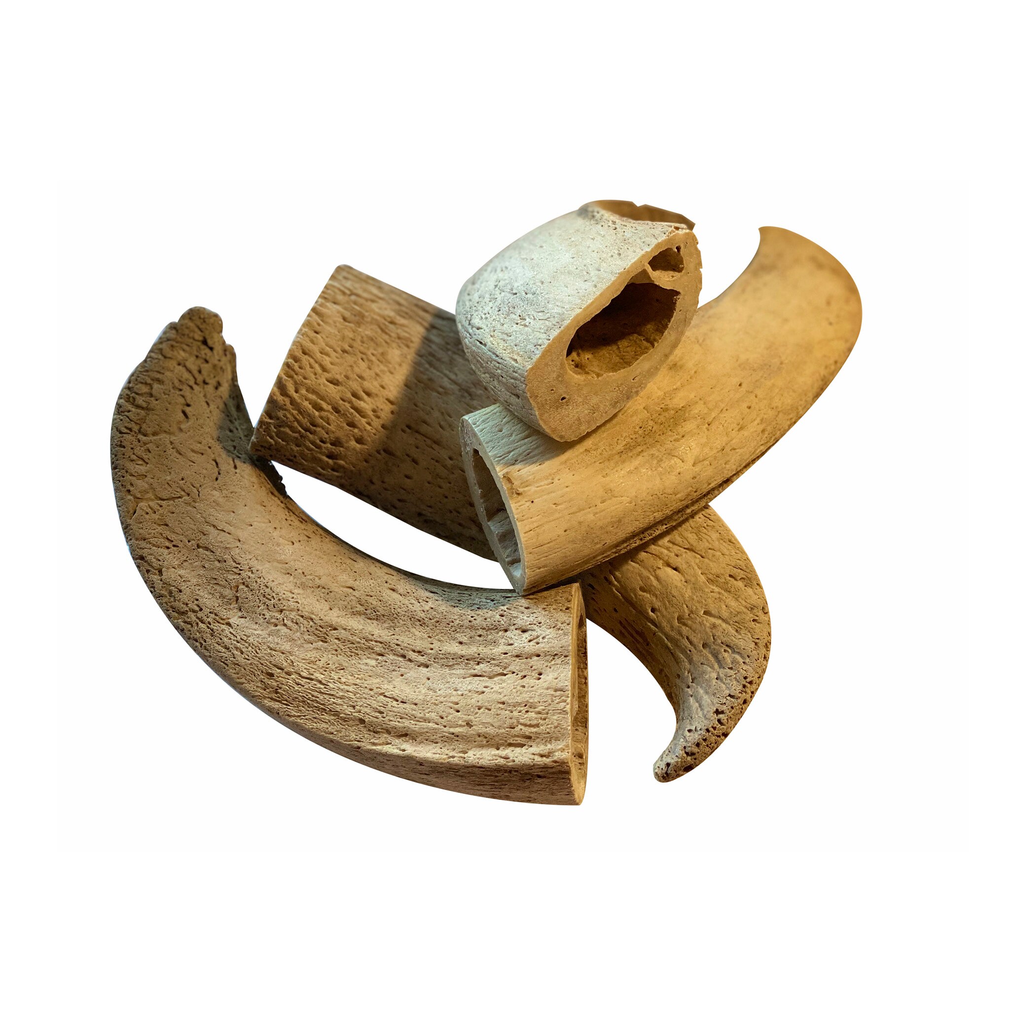 Water Buffalo Horn Core Dog Chews-2 Count-10 Oz - Etsy