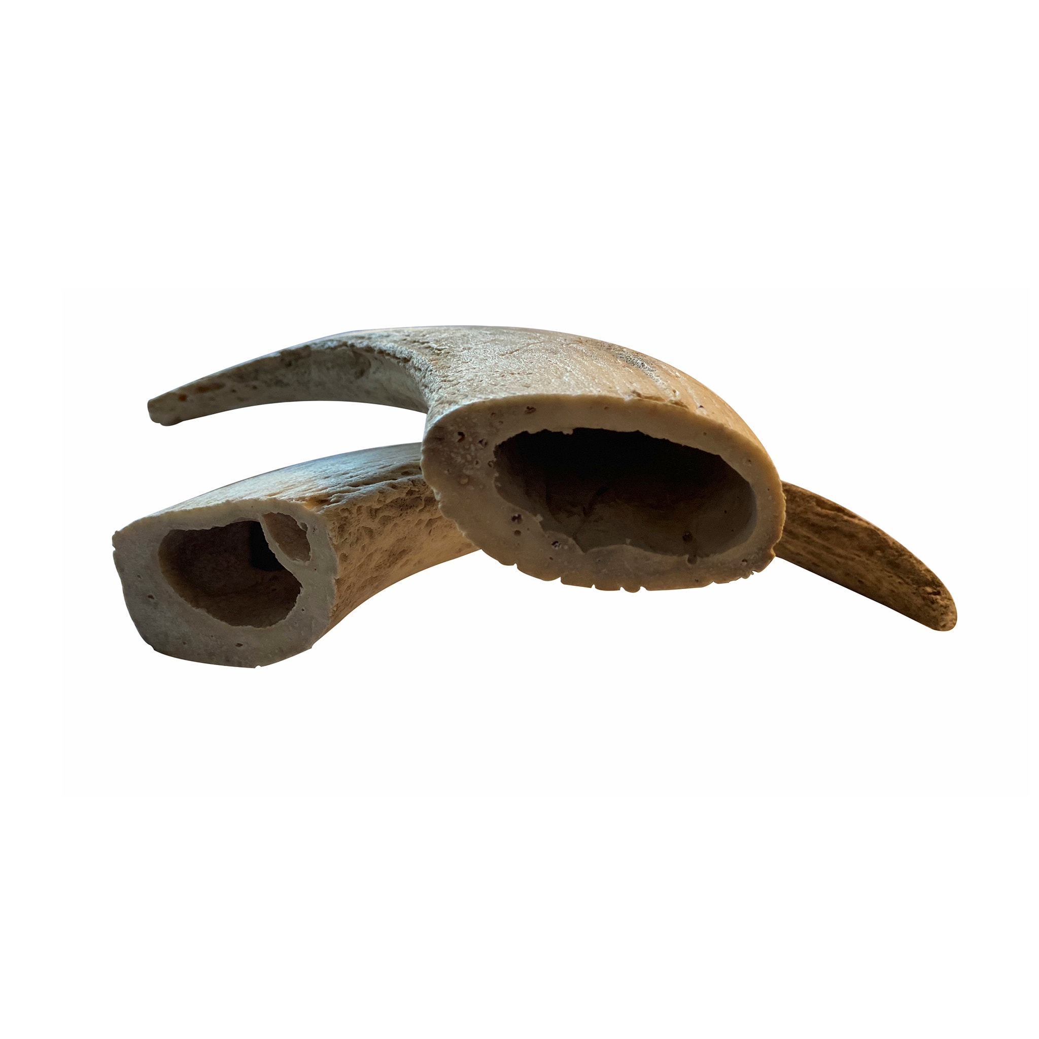 Water Buffalo Horn Core Dog Chews-2 Count-10 Oz - Etsy