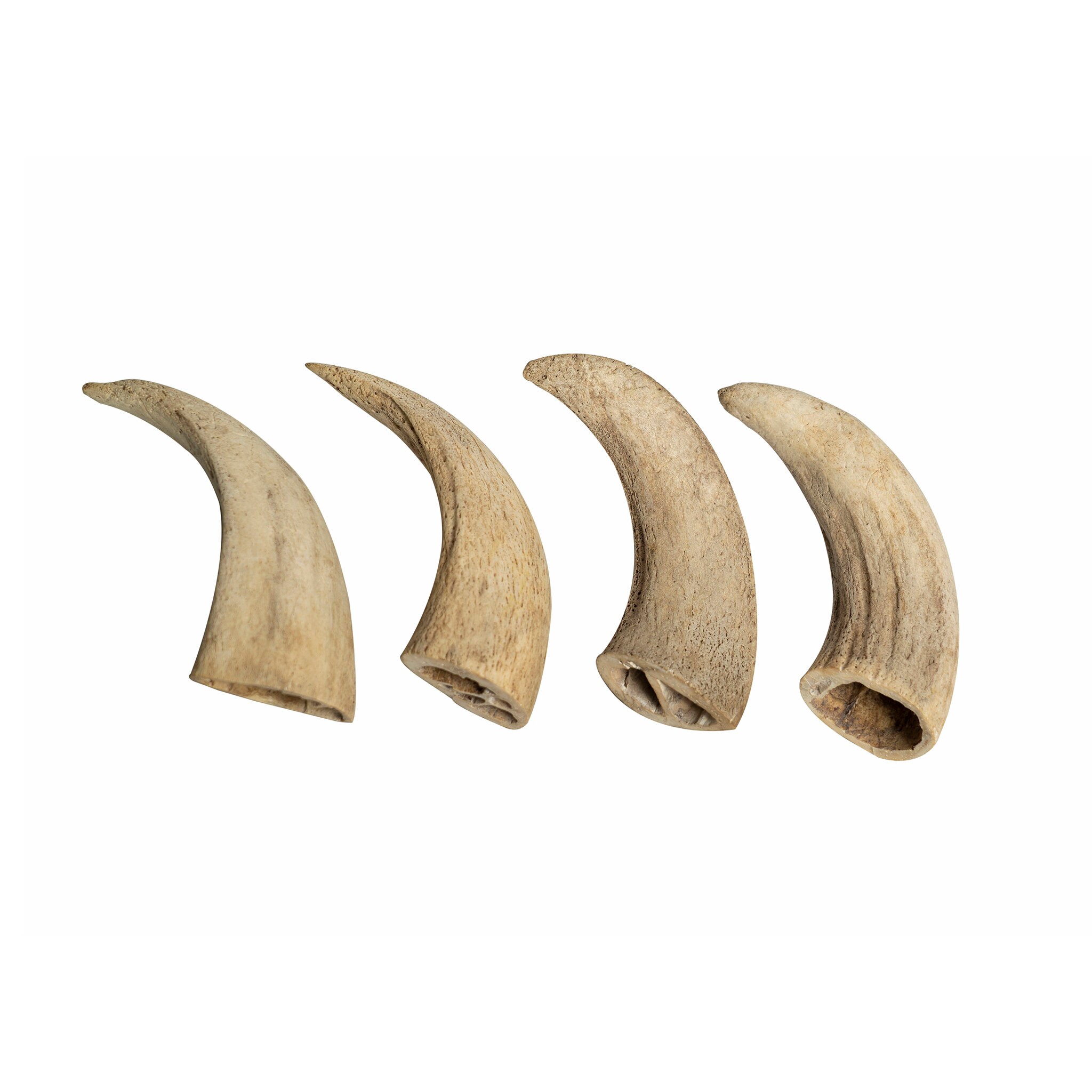Water Buffalo Horn Core Dog Chews-2 Count-10 Oz - Etsy
