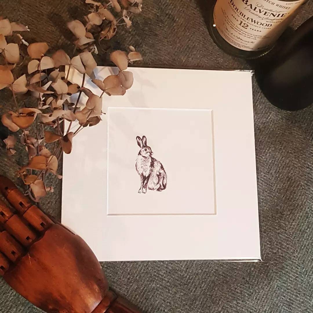 Hare - Pencil Sketch Print - Etsy