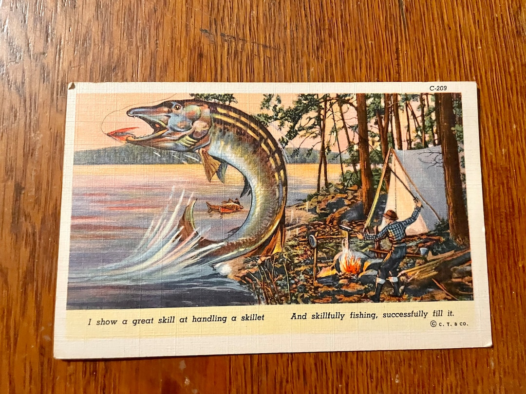 Vintage American Camping Fishing Post Card - Etsy