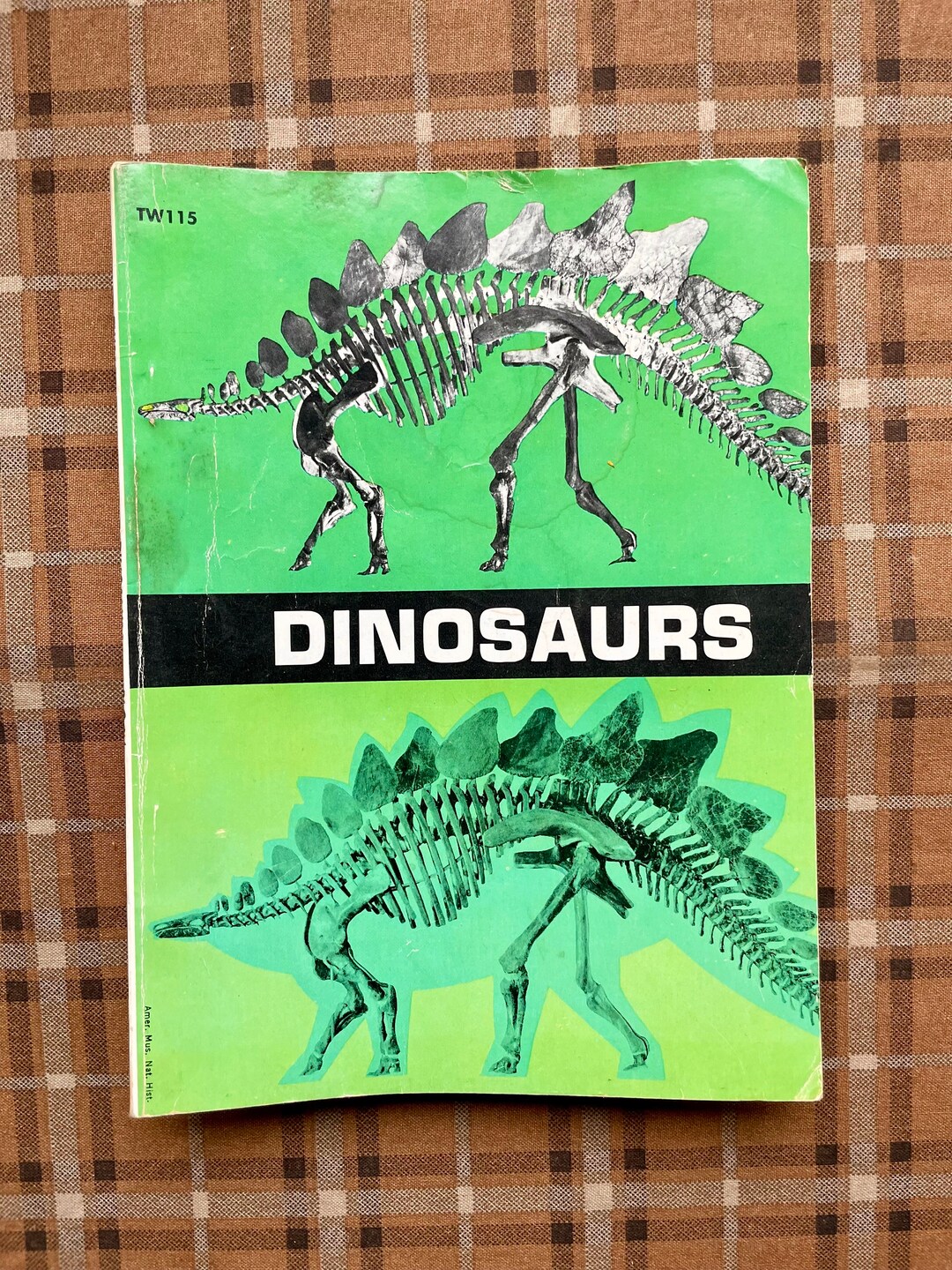 Vintage Dinosaurs Scholastic Childrens Book - Etsy
