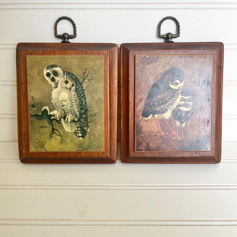 Owl Wall Plaque - Etsy