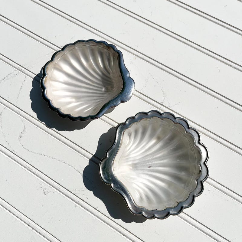 Clams Shell Earring - Etsy