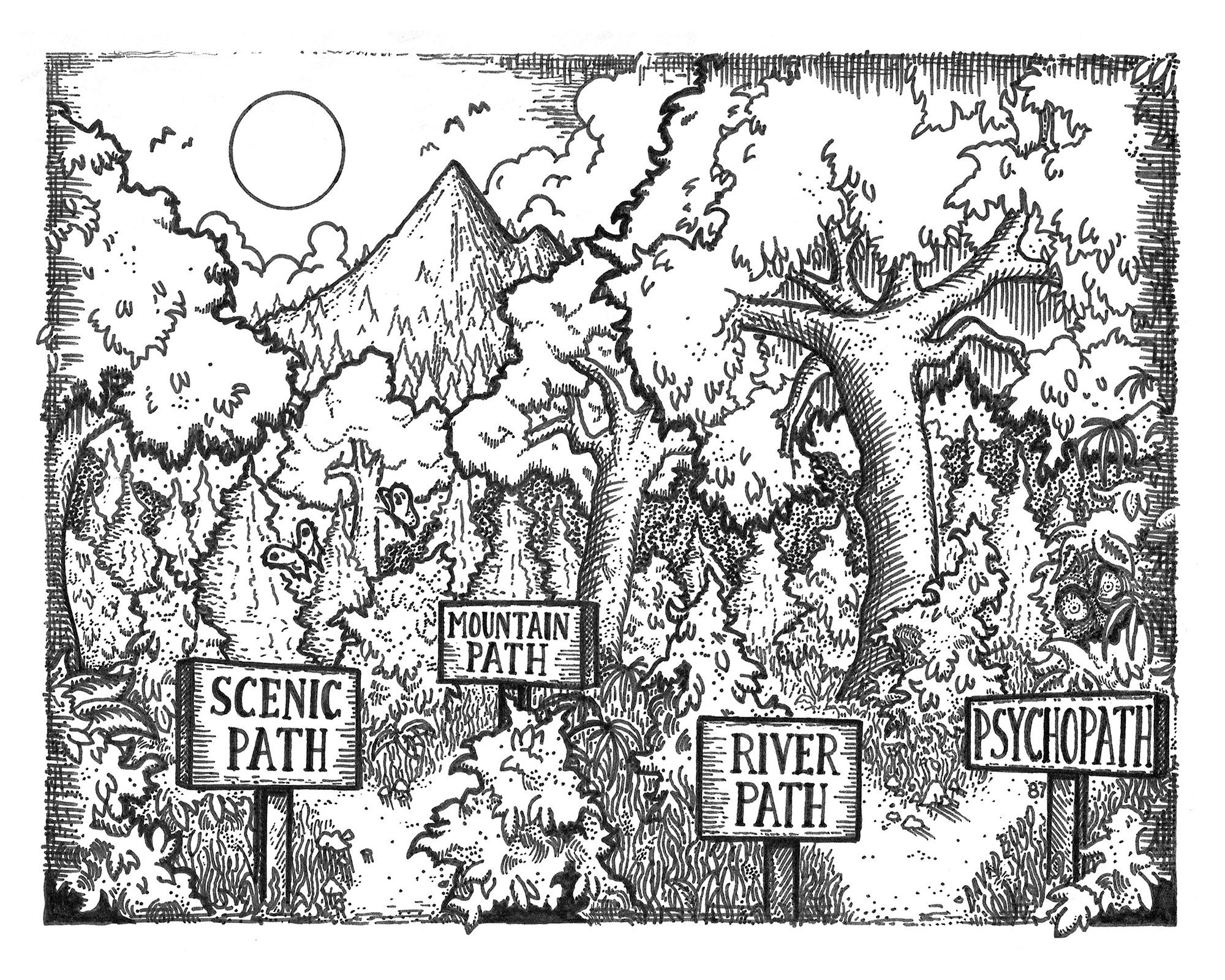Custom Pen and Ink Life's Path Illustrated - Etsy UK