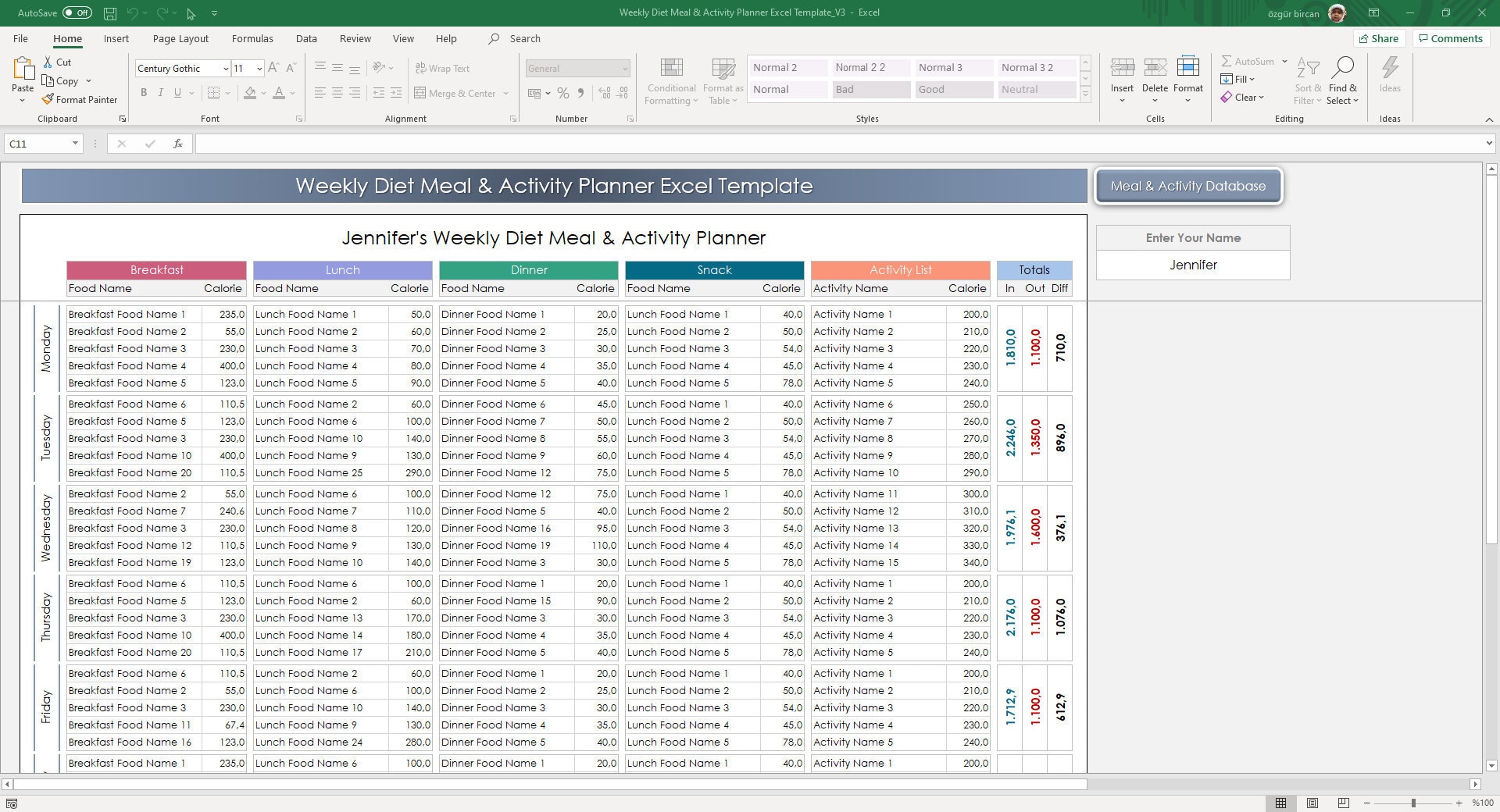 Weekly Diet Meal & Activity Planner Excel Template Meal - Etsy