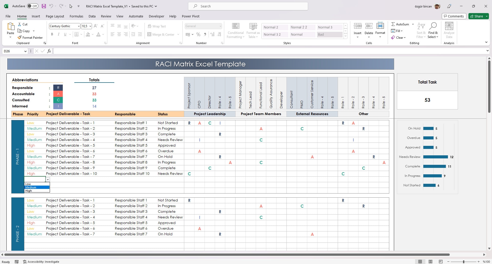 RACI Matrix Excel Template – Project Responsibility & Task Tracker - Etsy