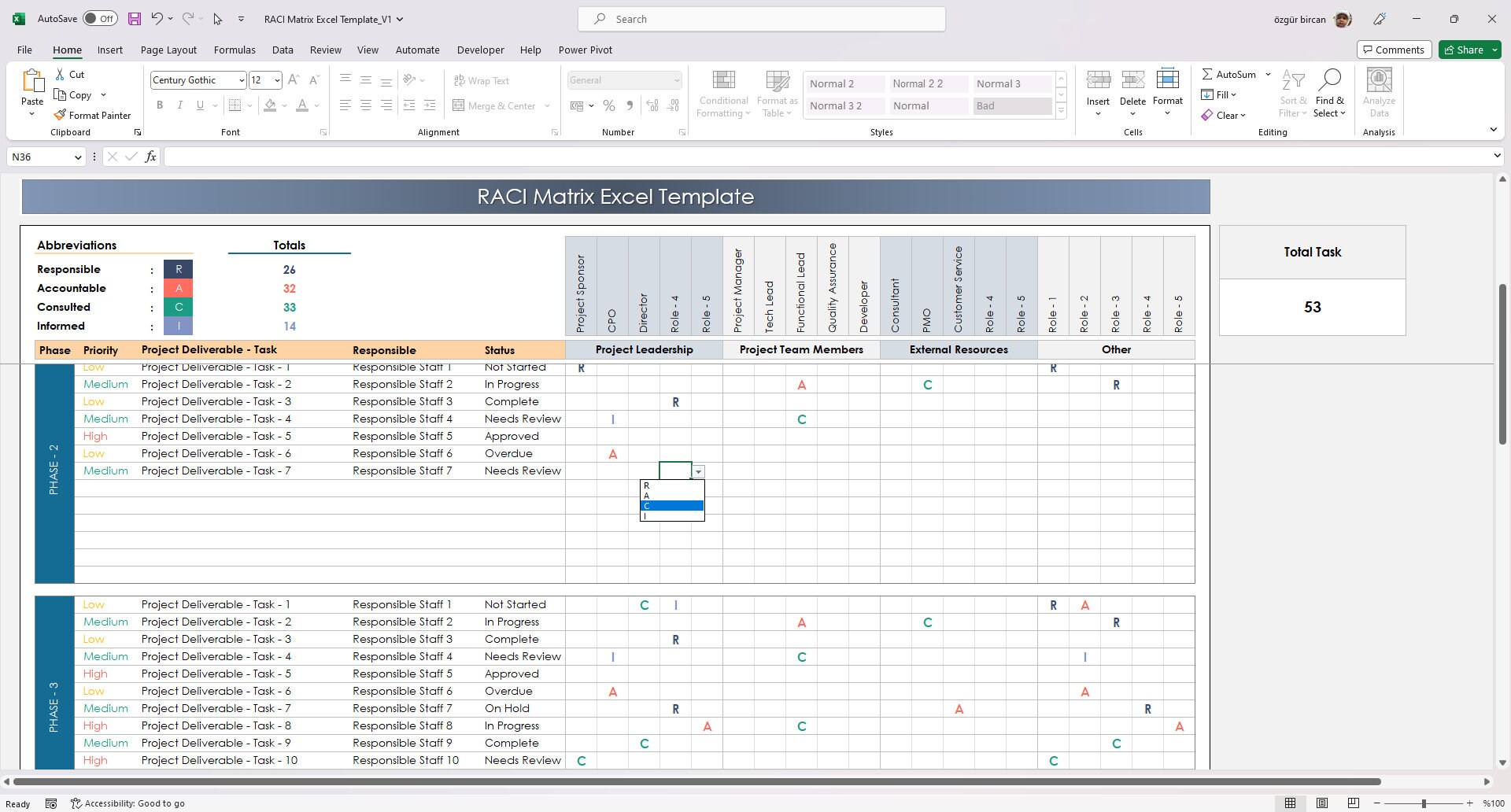 RACI Matrix Excel Template: Project Responsibility Chart (instant ...